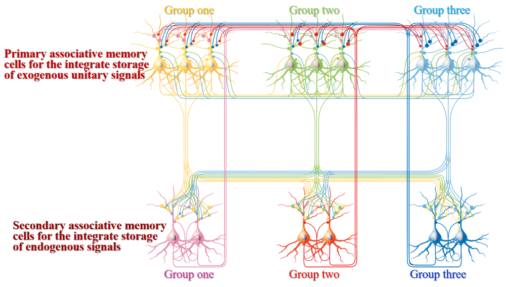 Searching basic units in memory traces: associative... | F1000Research