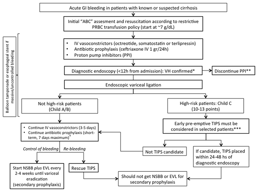 Management of acute variceal hemorrhage | F1000Research