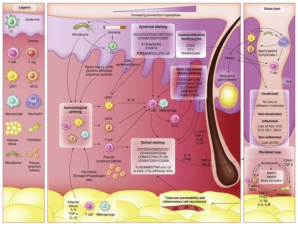 A systematic review and critical evaluation of... | F1000Research