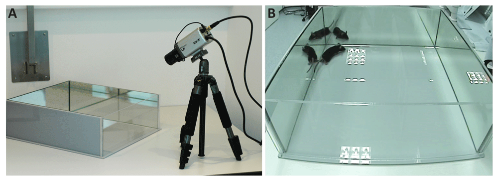 A refinement to the formalin test in mice | F1000Research