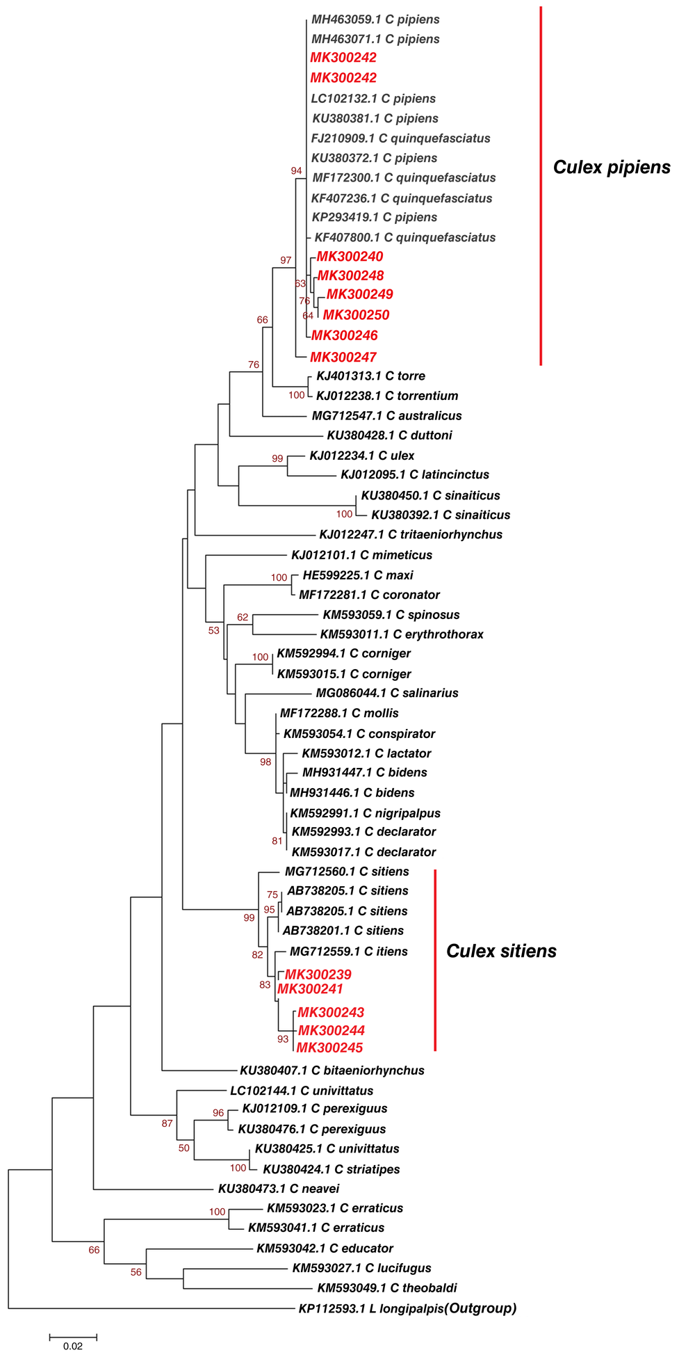 Diversity and Molecular Characterization of... | F1000Research