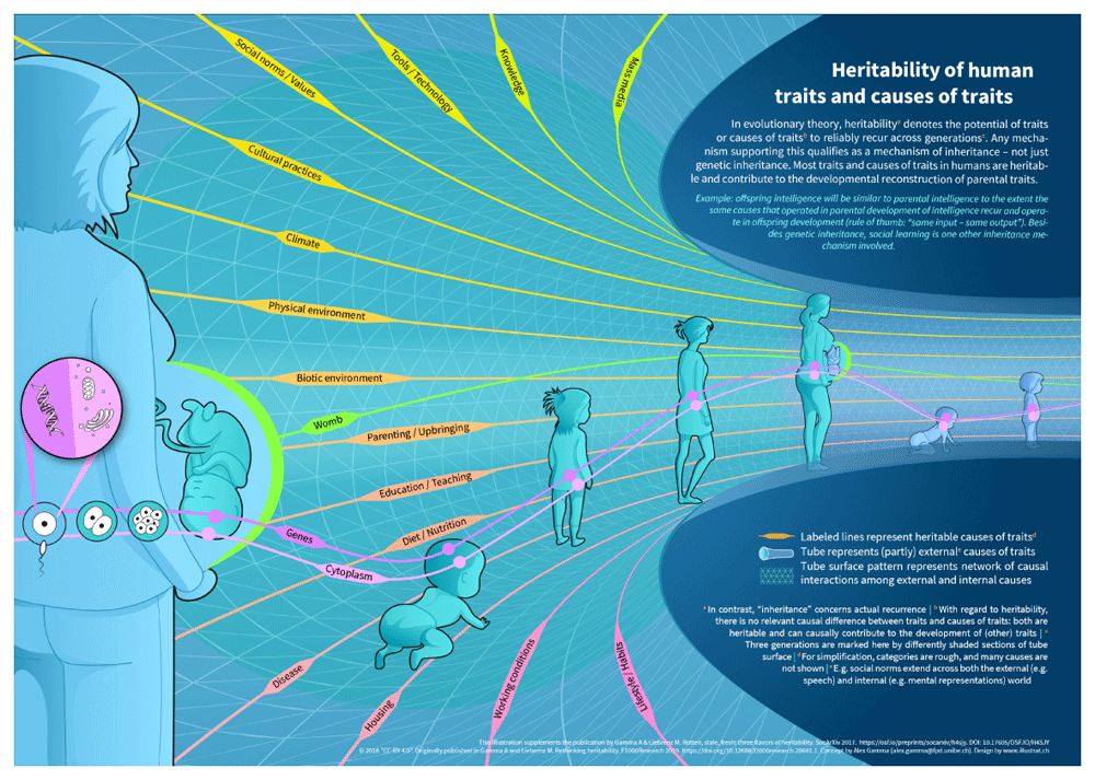 Rethinking heritability | F1000Research