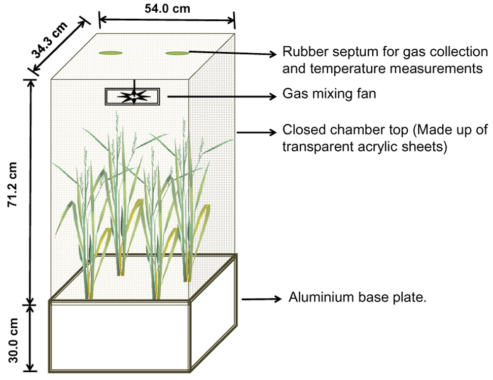 Mitigation of methane gas emission in rice by... | F1000Research