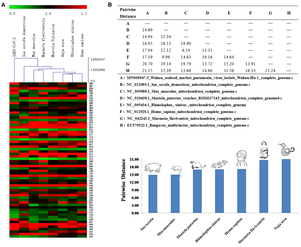 GitHub - haruosuz/codon
