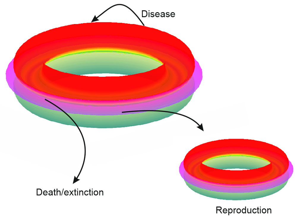Poikilosis – pervasive biological variation | F1000Research