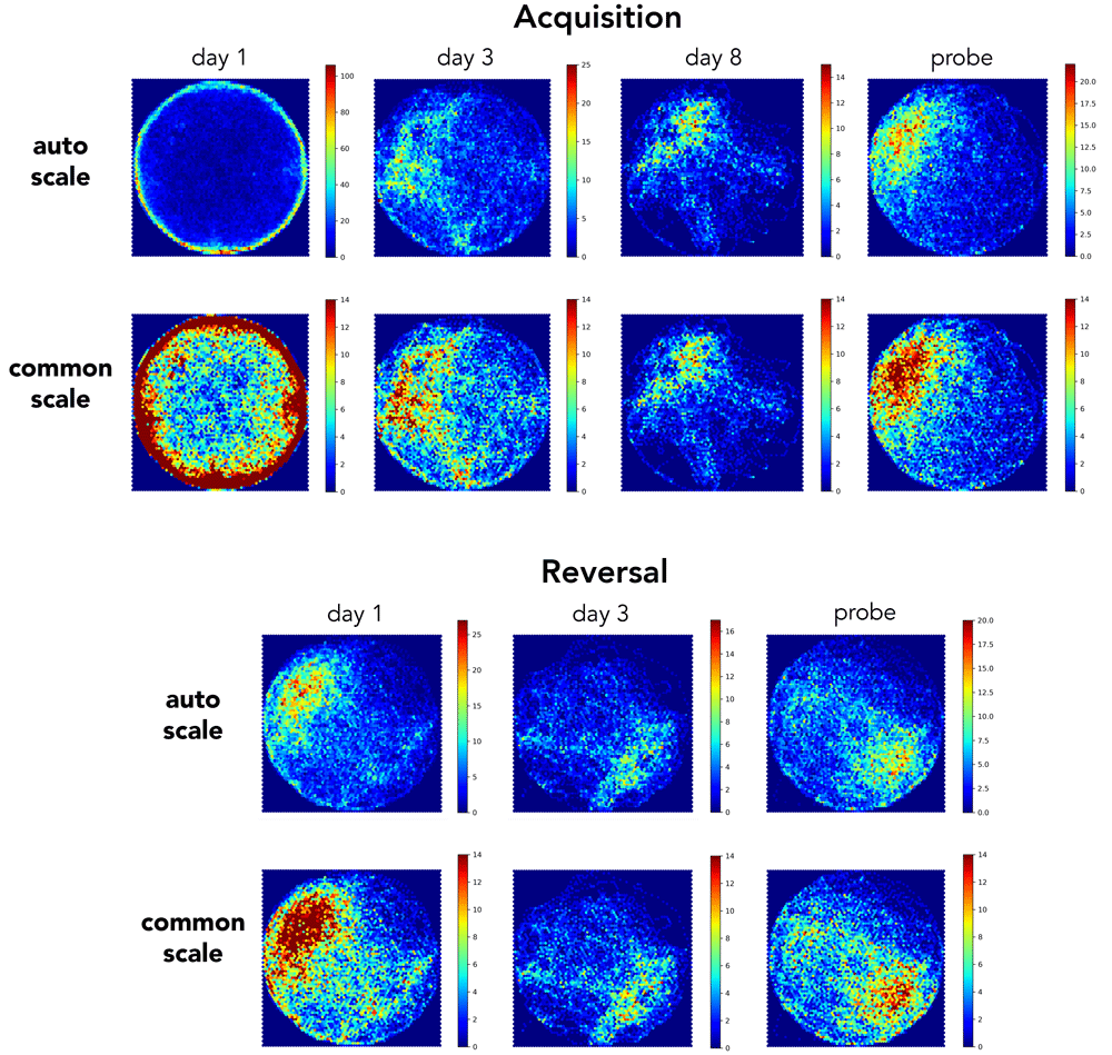 Pathfinder: open source software for analyzing... | F1000Research