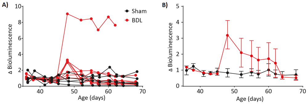 Pdf Glufosinate Absorption Translocation And Metabolic Fingerprint