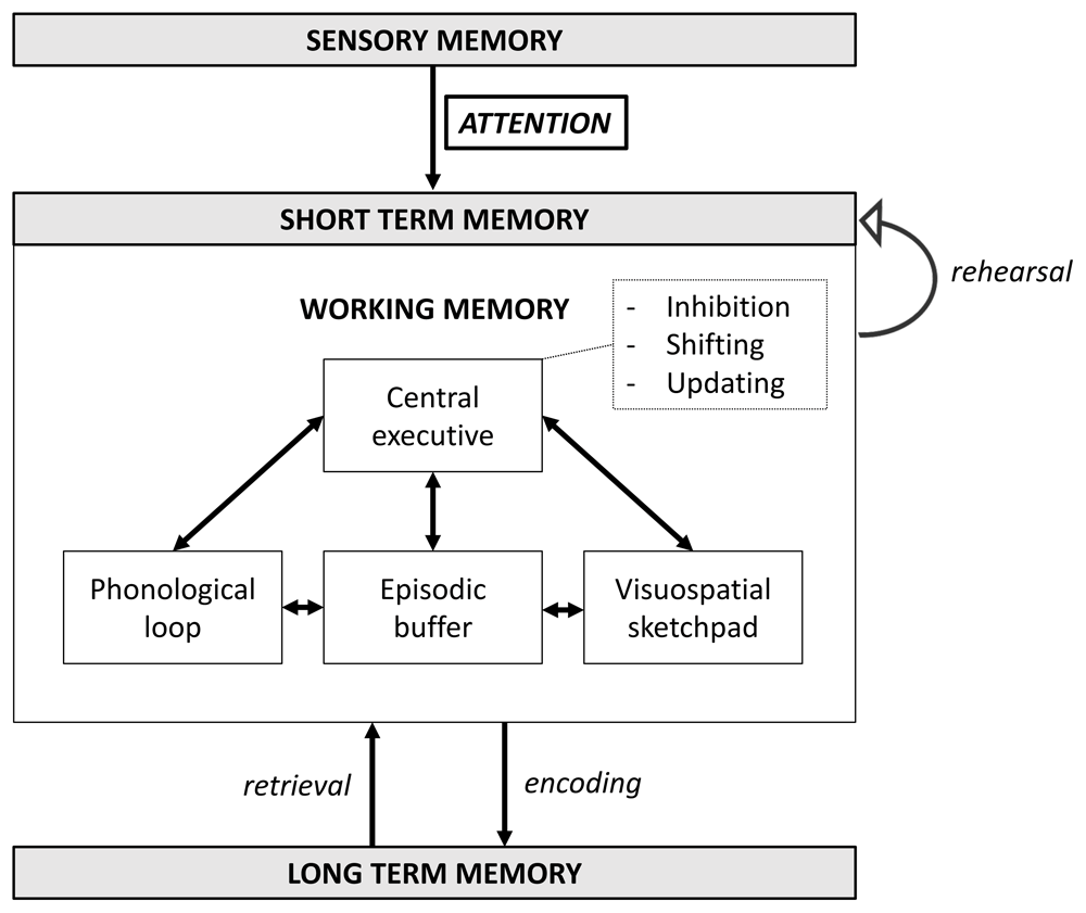 Transcranial direct current stimulation and... | F1000Research