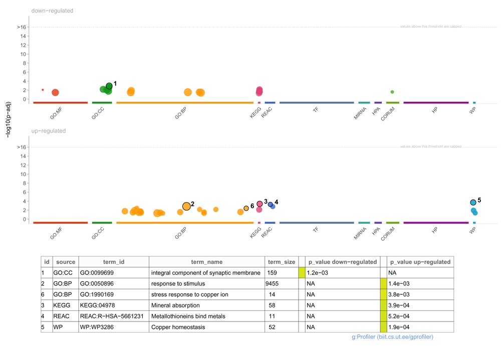 gprofiler2 -- an R package for gene list functional... | F1000Research