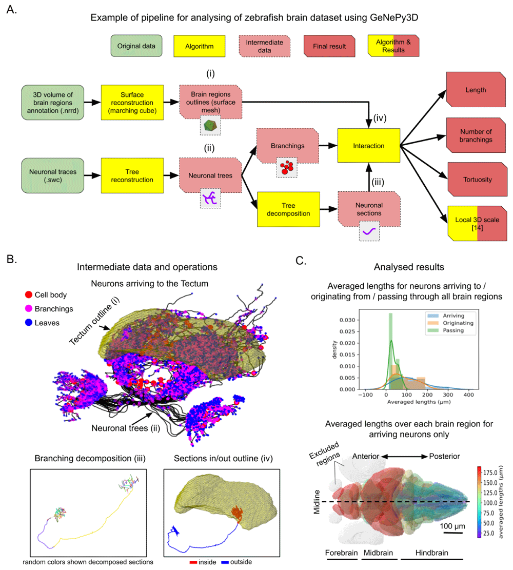 GeNePy3D: a quantitative geometry python toolbox... | F1000Research