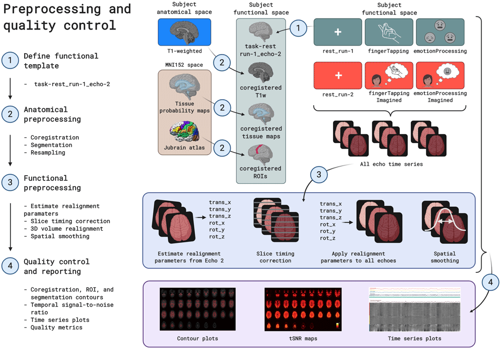 rt-me-fMRI: a task and resting state dataset for... | F1000Research