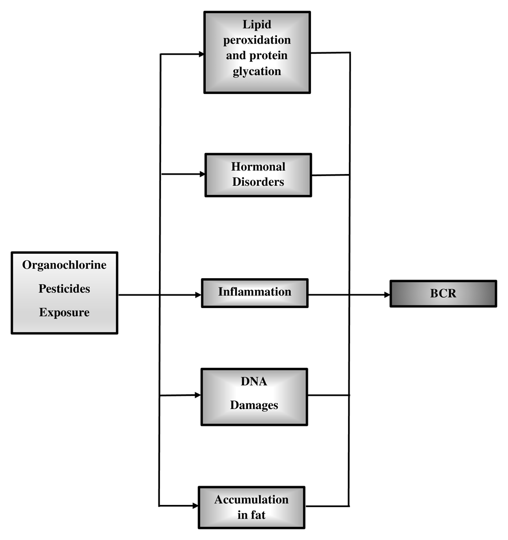 Organochlorine pesticide exposure and risk of... | F1000Research