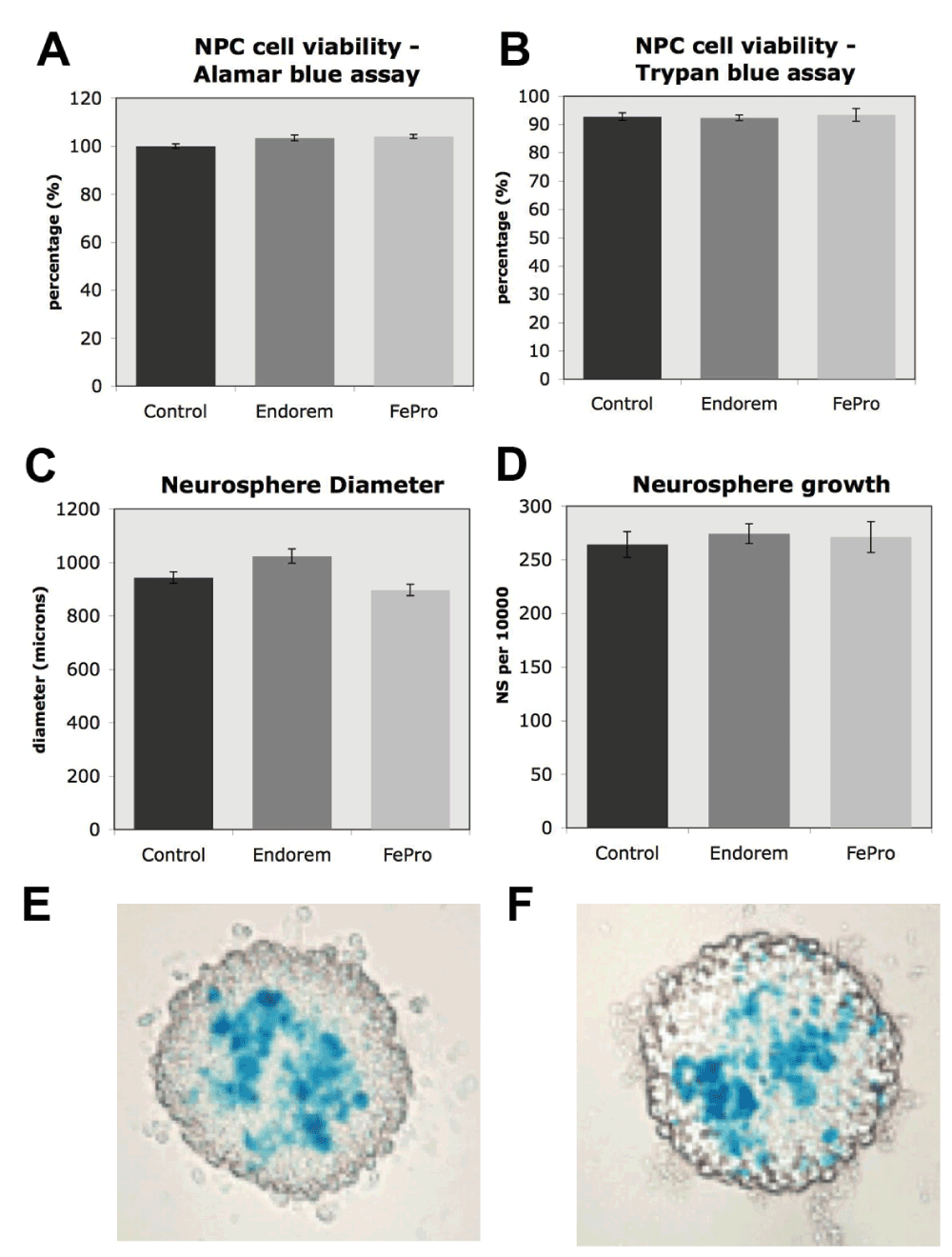 Monitoring ferumoxide-labelled neural progenitor... | F1000Research