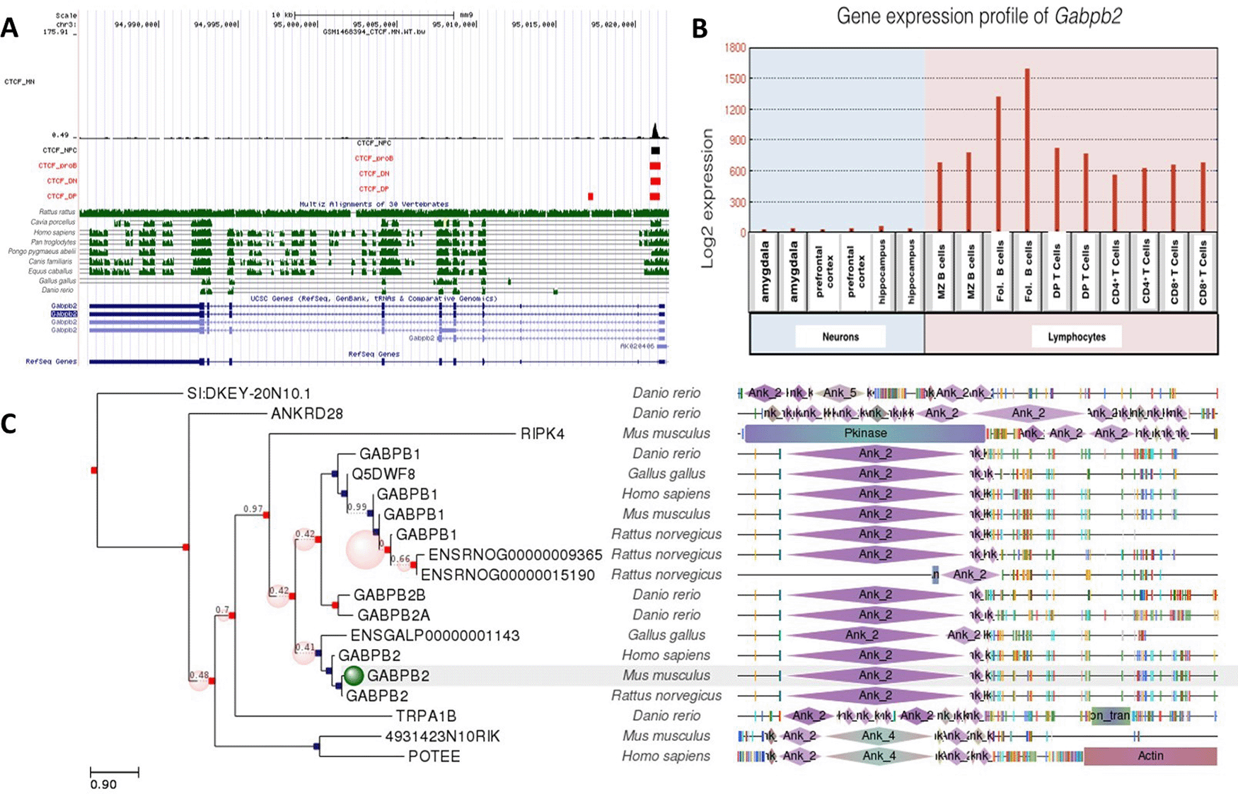 Differential CTCF binding in motor neurons and... | F1000Research