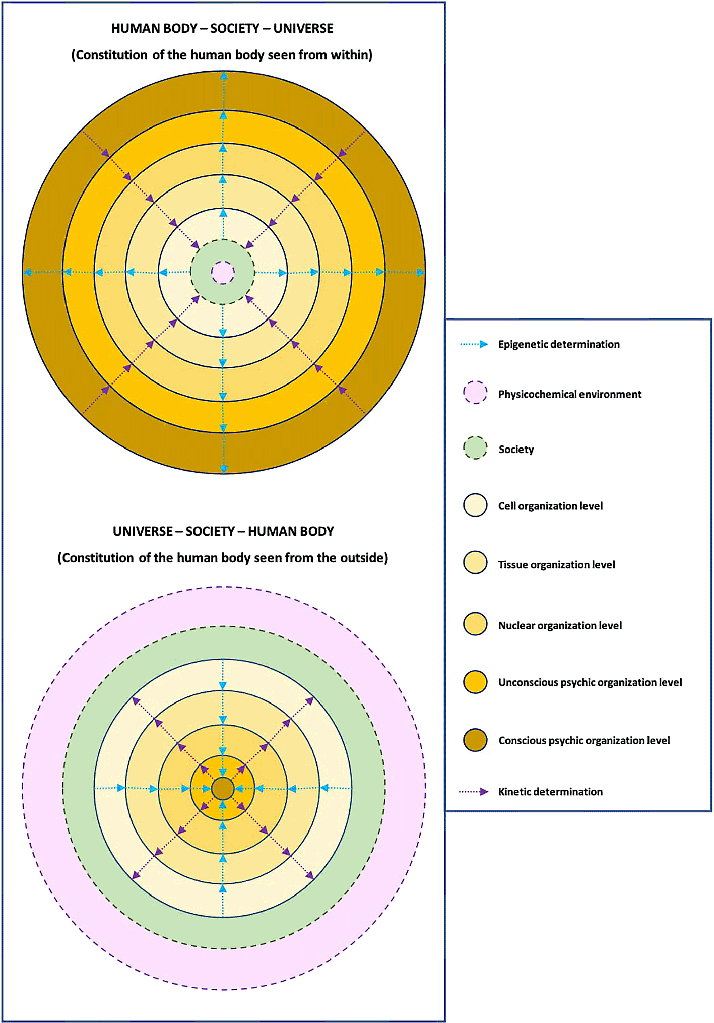 An informational sociobiological explanation of the... | F1000Research