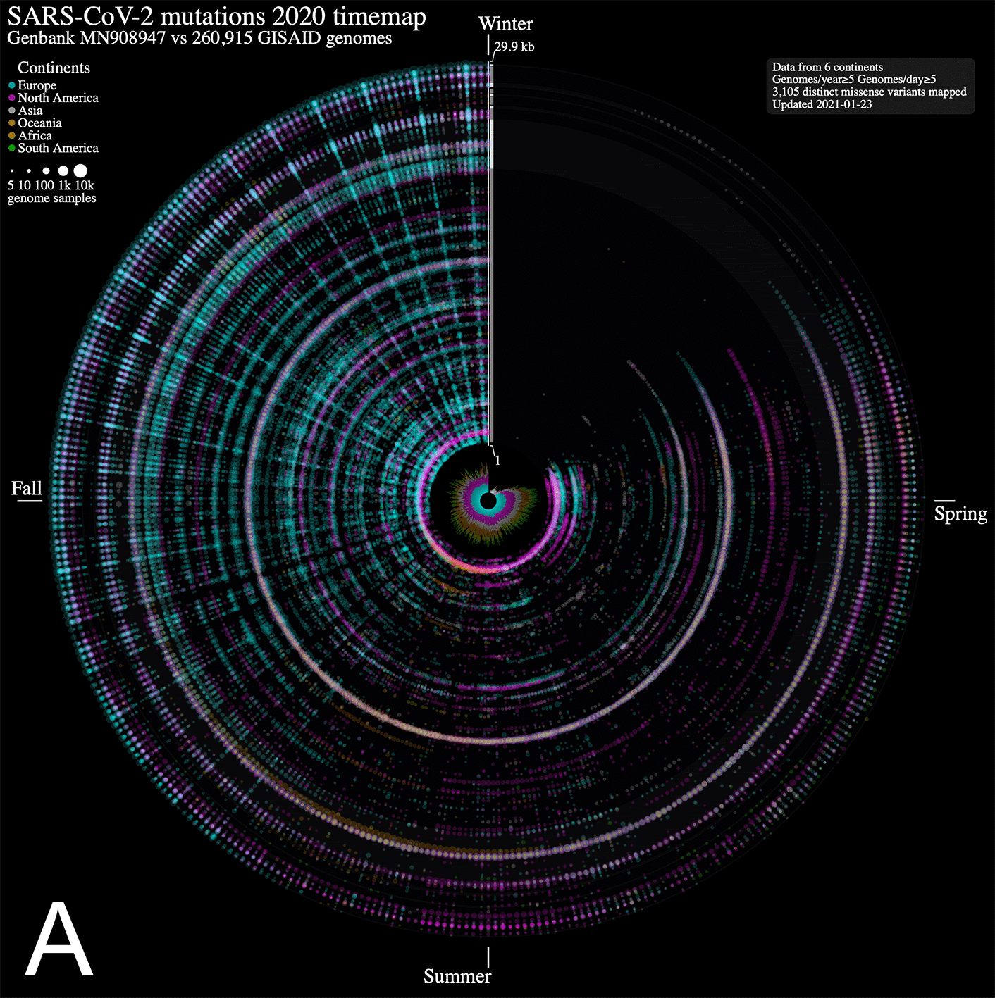 Interactive SARS-CoV-2 mutation timemaps | F1000Research