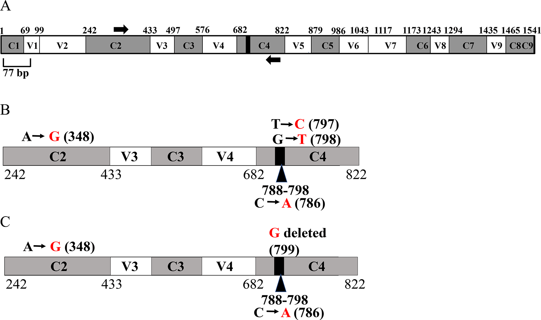 Isolation and characterization of a heavy metal-... | F1000Research