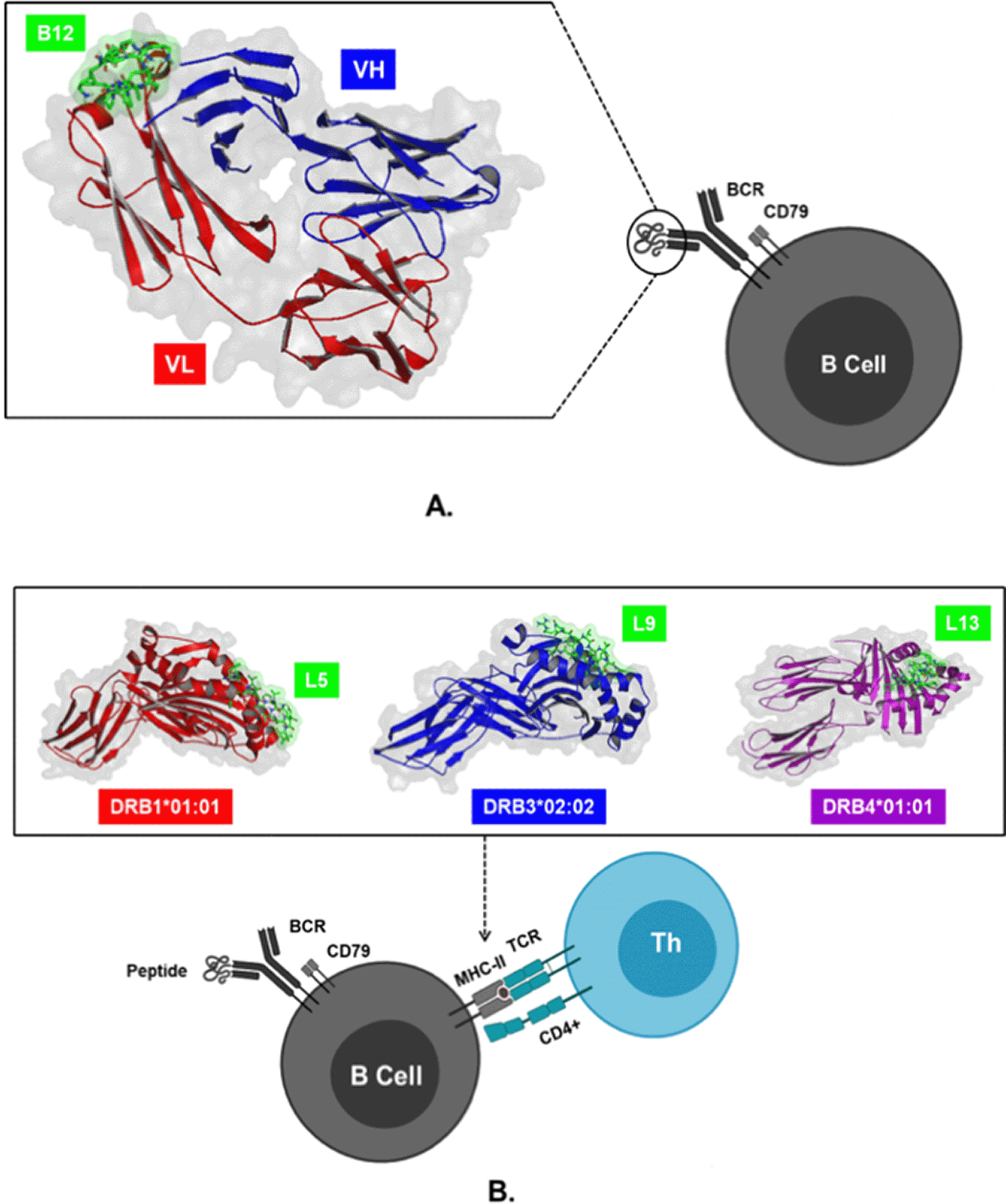 Molecular docking and dynamic simulation of... | F1000Research
