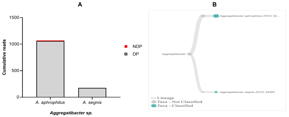 A pilot study of red complex and three genera... | F1000Research