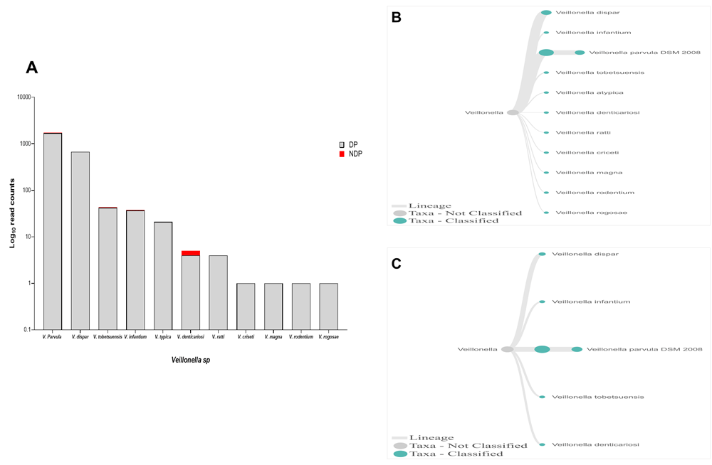 A pilot study of red complex and three genera... | F1000Research