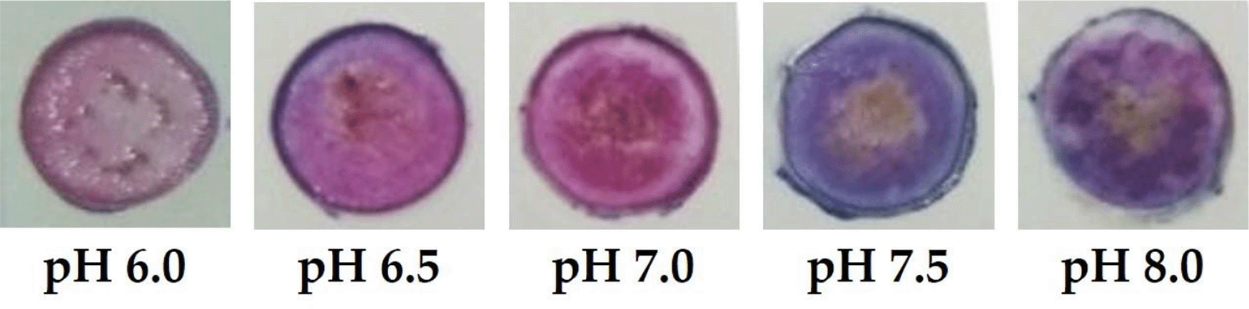 A simple optical pH sensor based on pectin and... | F1000Research