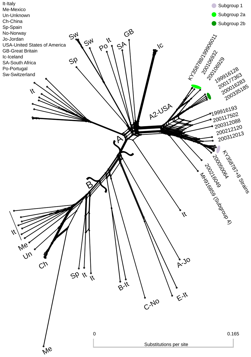 Classification of small ruminant lentivirus subtype... | F1000Research
