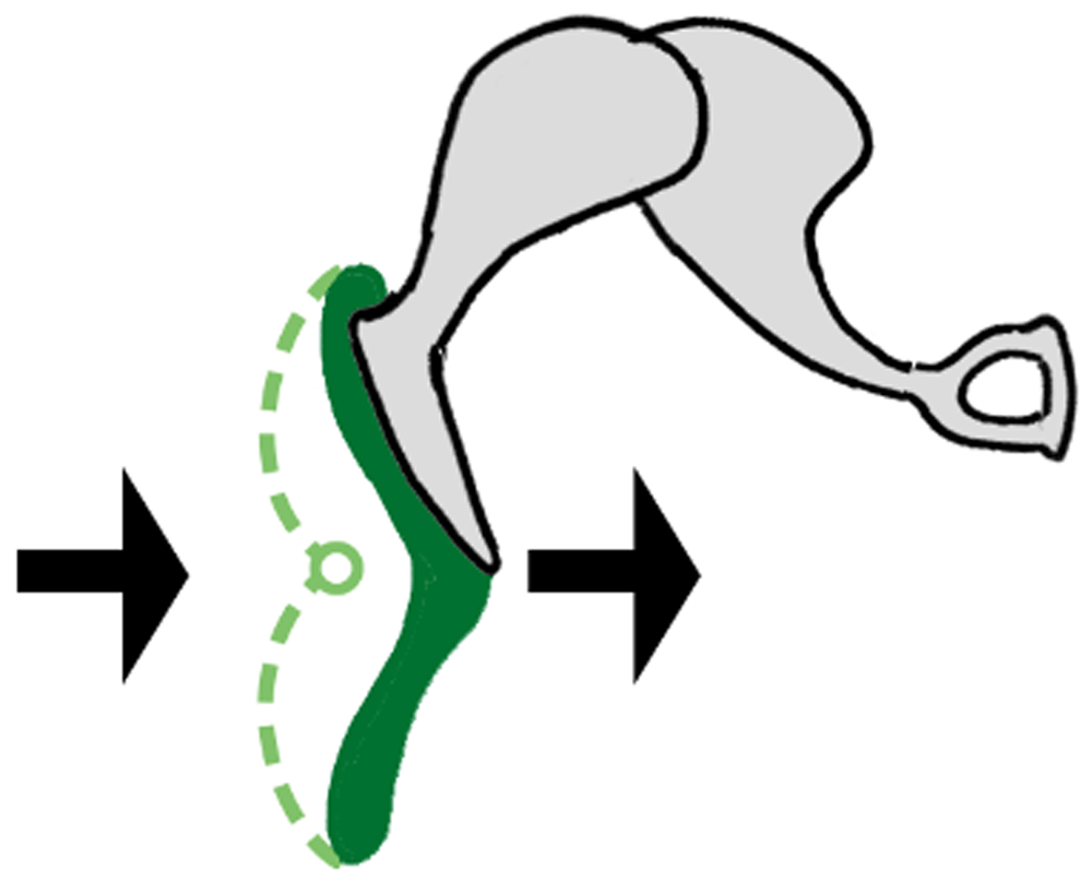 Mechanics of the Peripheral Auditory System:... | F1000Research