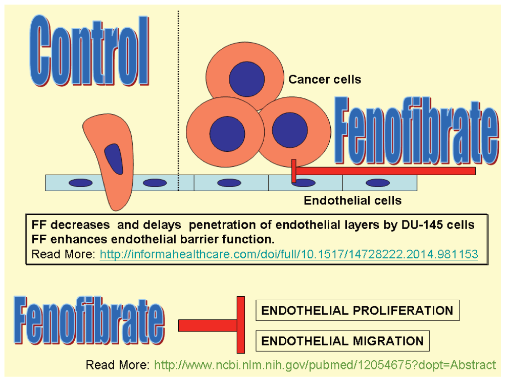 Fenofibrate in cancer: mechanisms involved in... | F1000Research