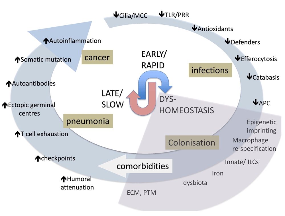 Advances in understanding COPD | F1000Research