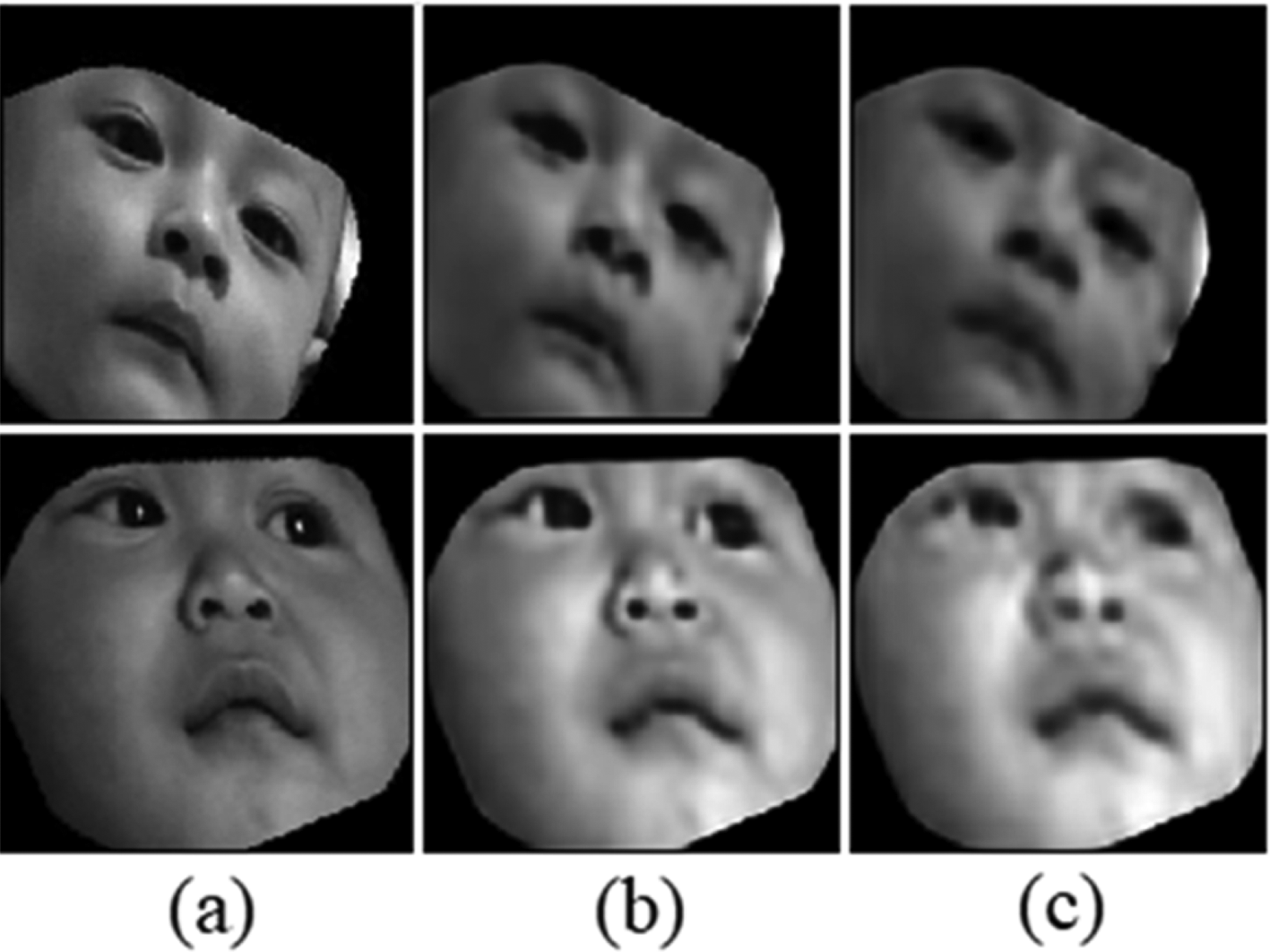 Ensemble of multimodal deep learning autoencoder... | F1000Research