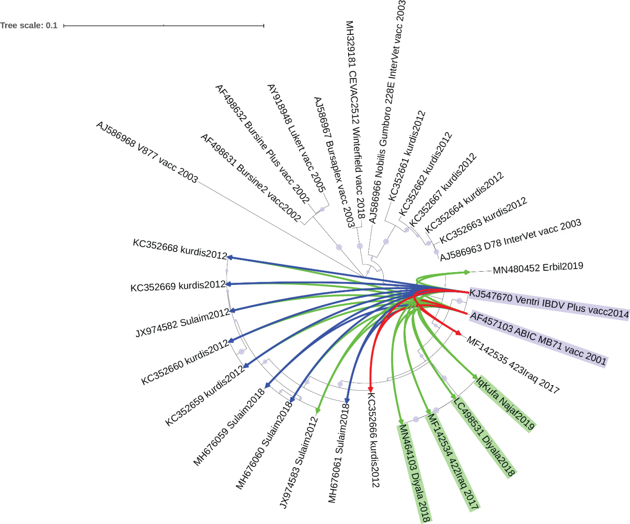 Sequence diversity and evolution... | F1000Research