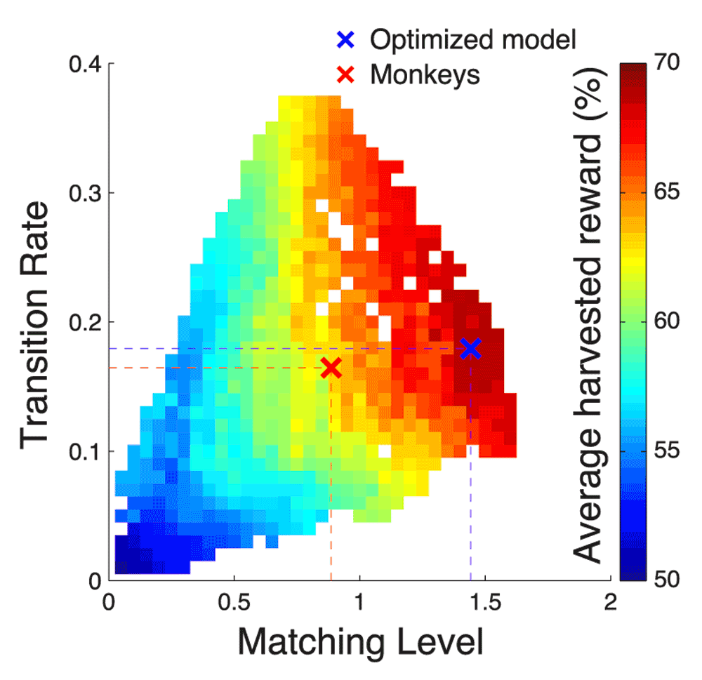 Matching Behavior as a Tradeoff Between Reward... | F1000Research