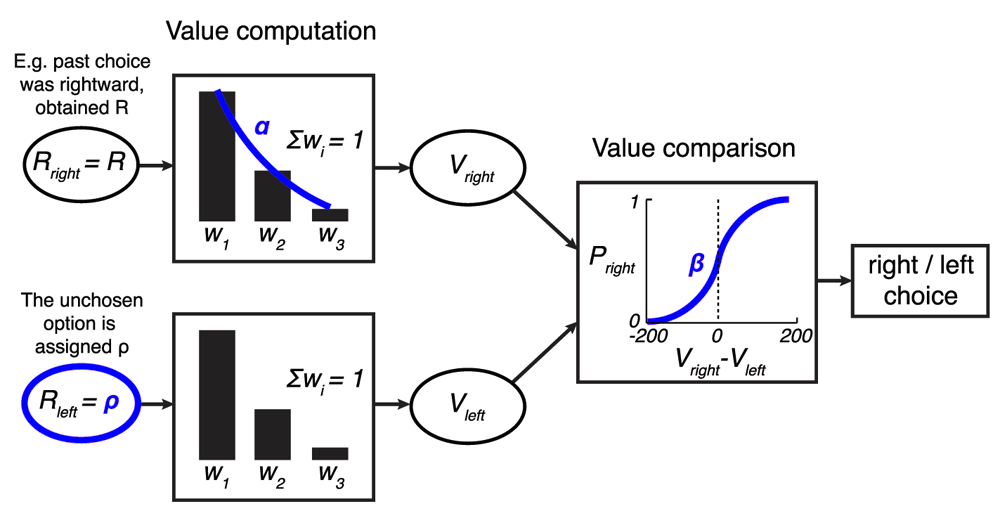 Matching Behavior as a Tradeoff Between Reward... | F1000Research