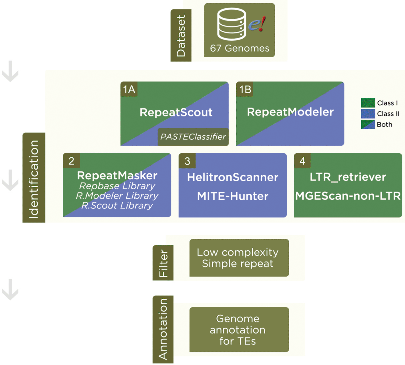 An Atlas of Plant Transposable Elements | F1000Research