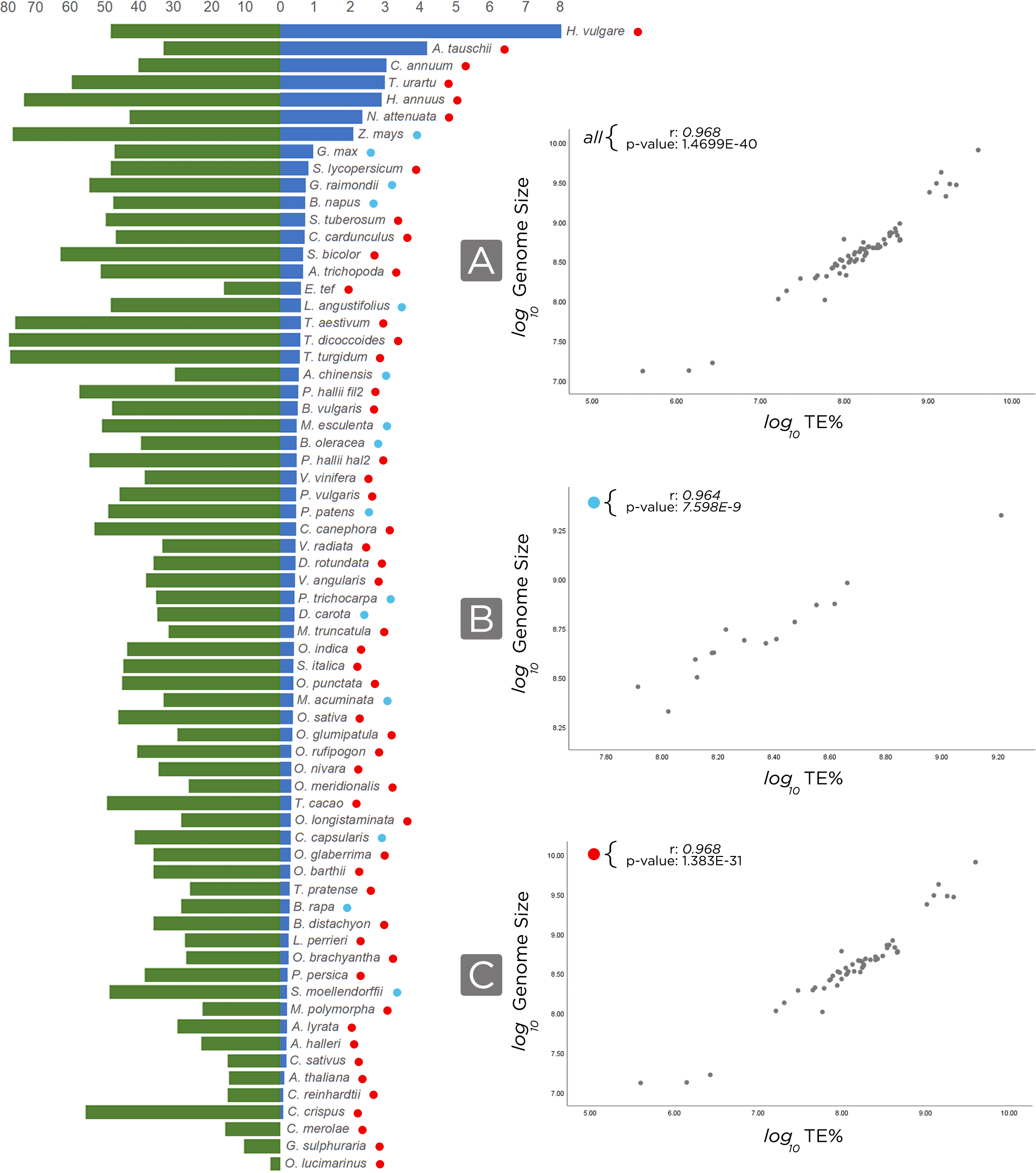 An Atlas of Plant Transposable Elements | F1000Research