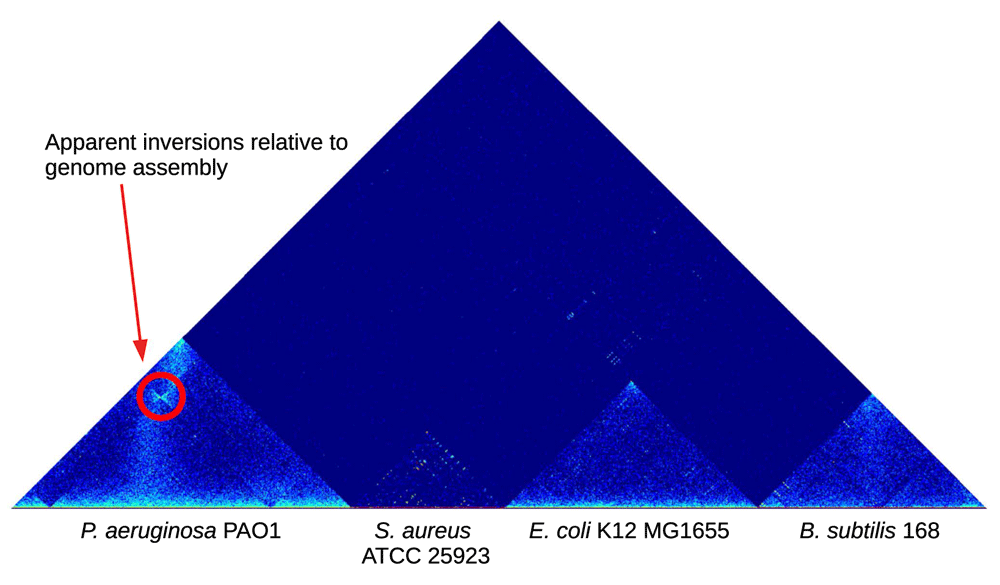 Metagenomic Chromosome Conformation Capture (3C):... | F1000Research