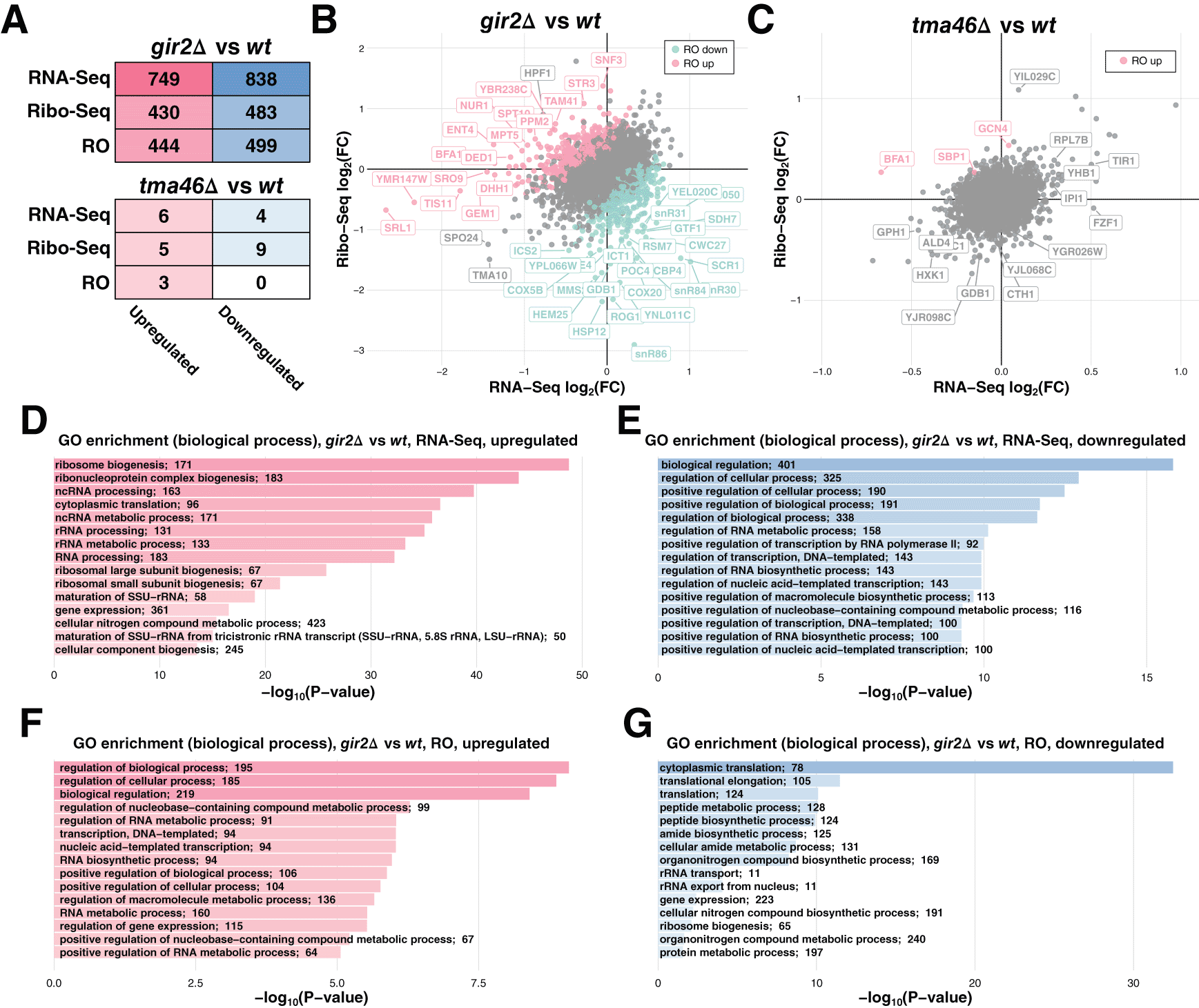 Ribo Seq And Rna Seq Of Tma46 Dfrp1 And Gir2 F1000research
