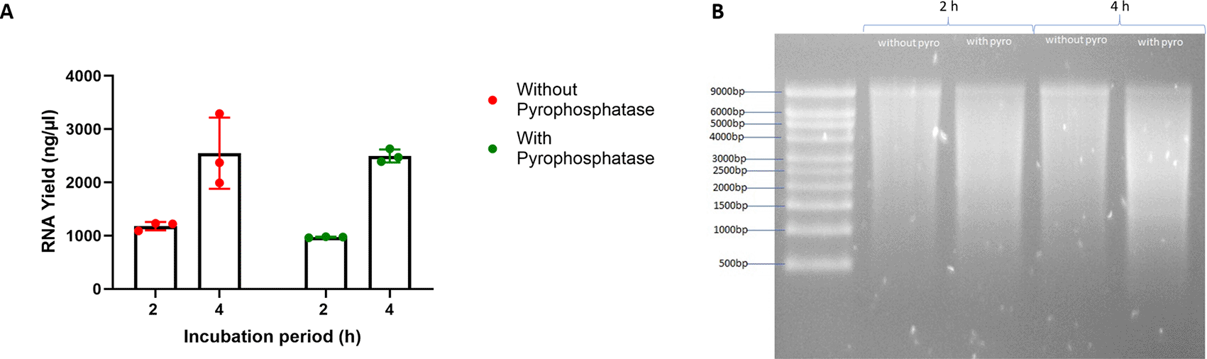 Design-of-experiments in vitro transcription... | F1000Research