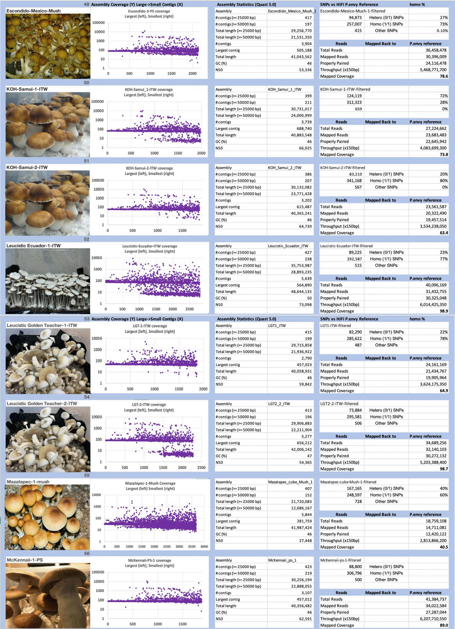 A whole genome atlas of 81 Psilocybe genomes as a... | F1000Research