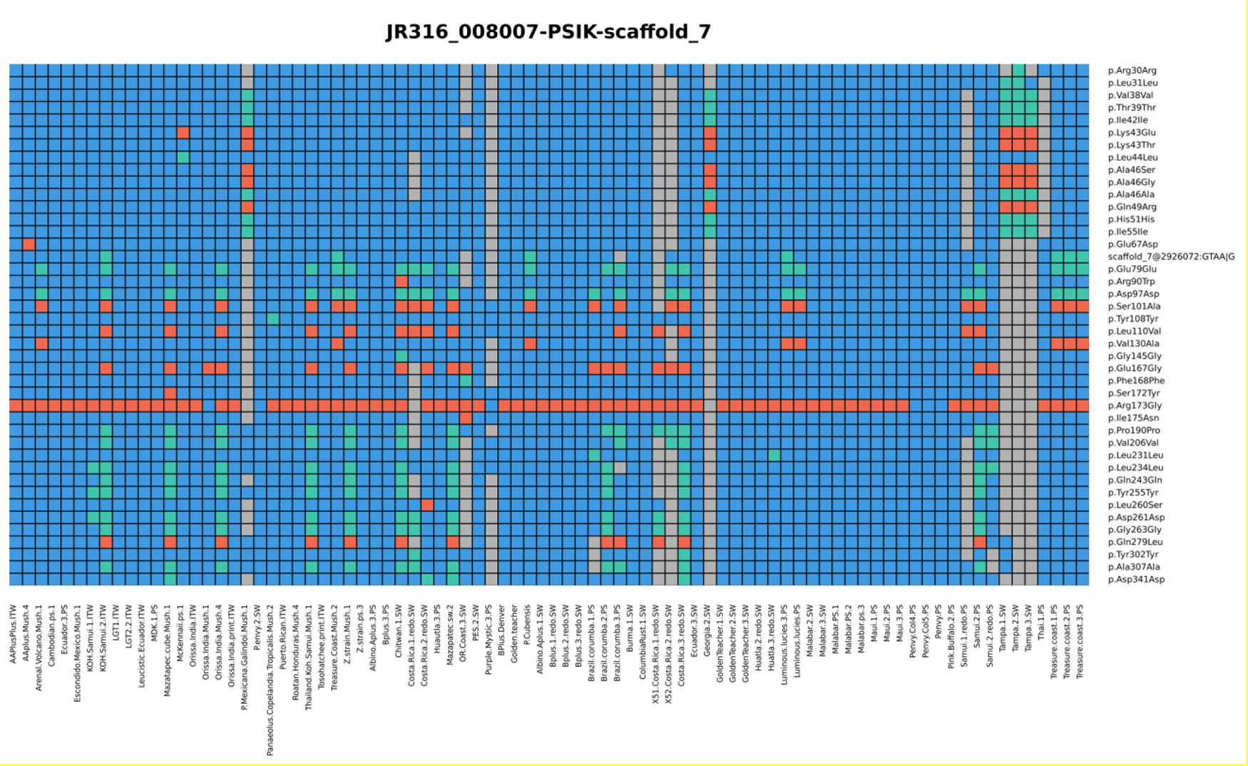 A whole genome atlas of 81 Psilocybe genomes as a... | F1000Research