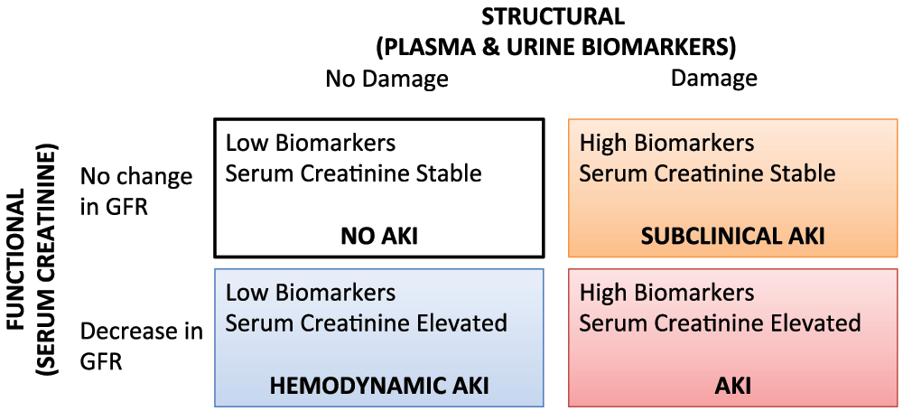 Biomarkers of acute kidney injury and... | F1000Research
