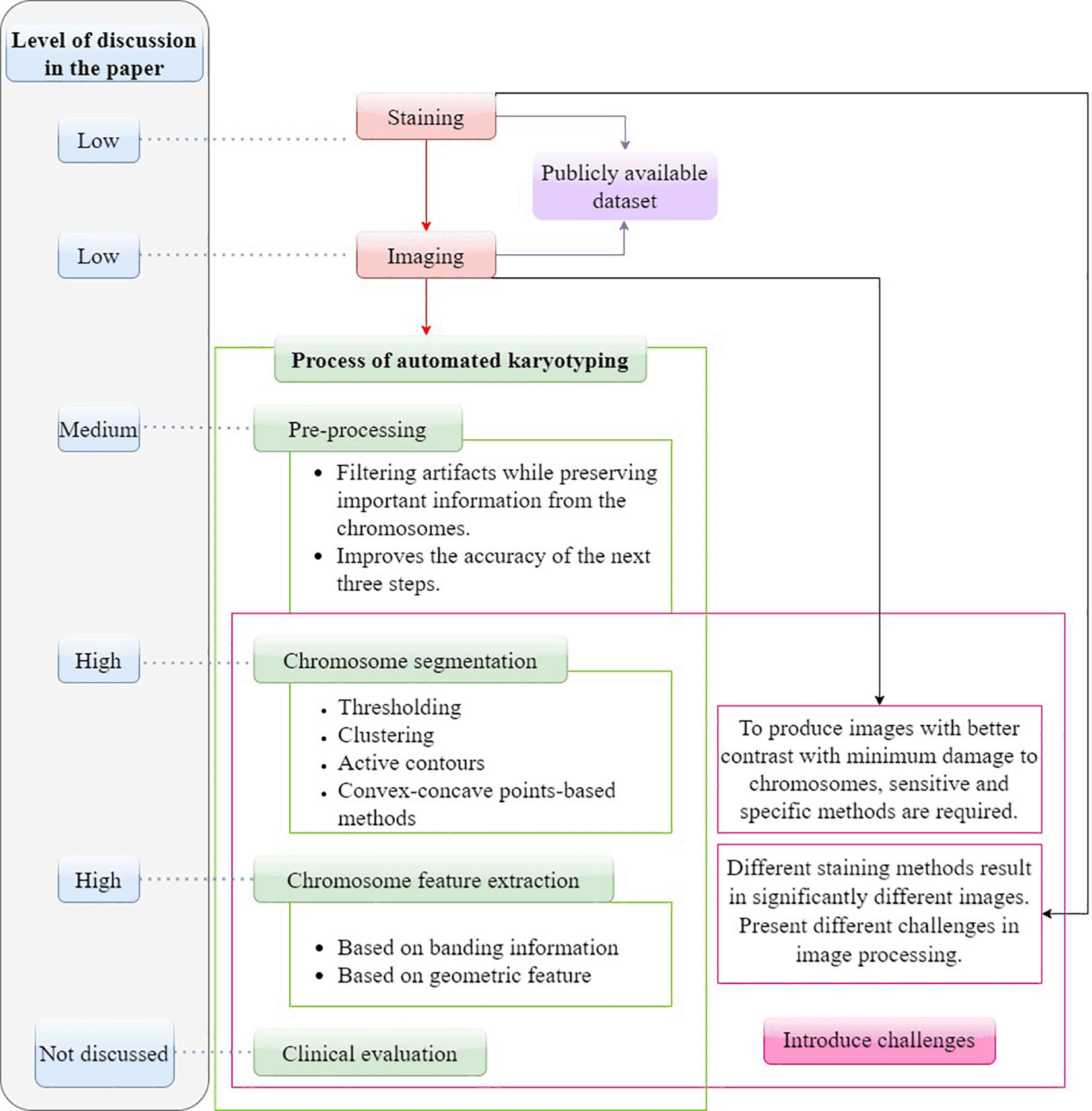 Automated human chromosome segmentation and feature... | F1000Research